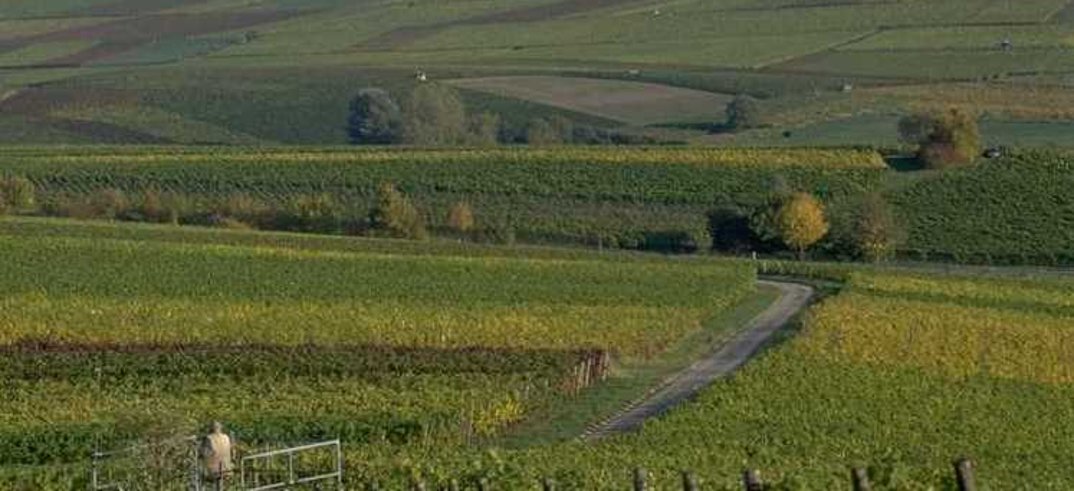 Tourismus | Verbandsgemeinde Bodenheim