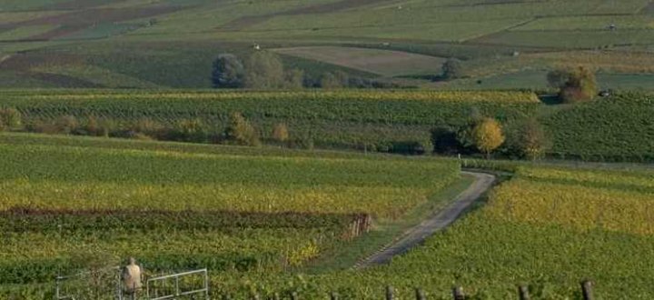 Tourismus | Verbandsgemeinde Bodenheim